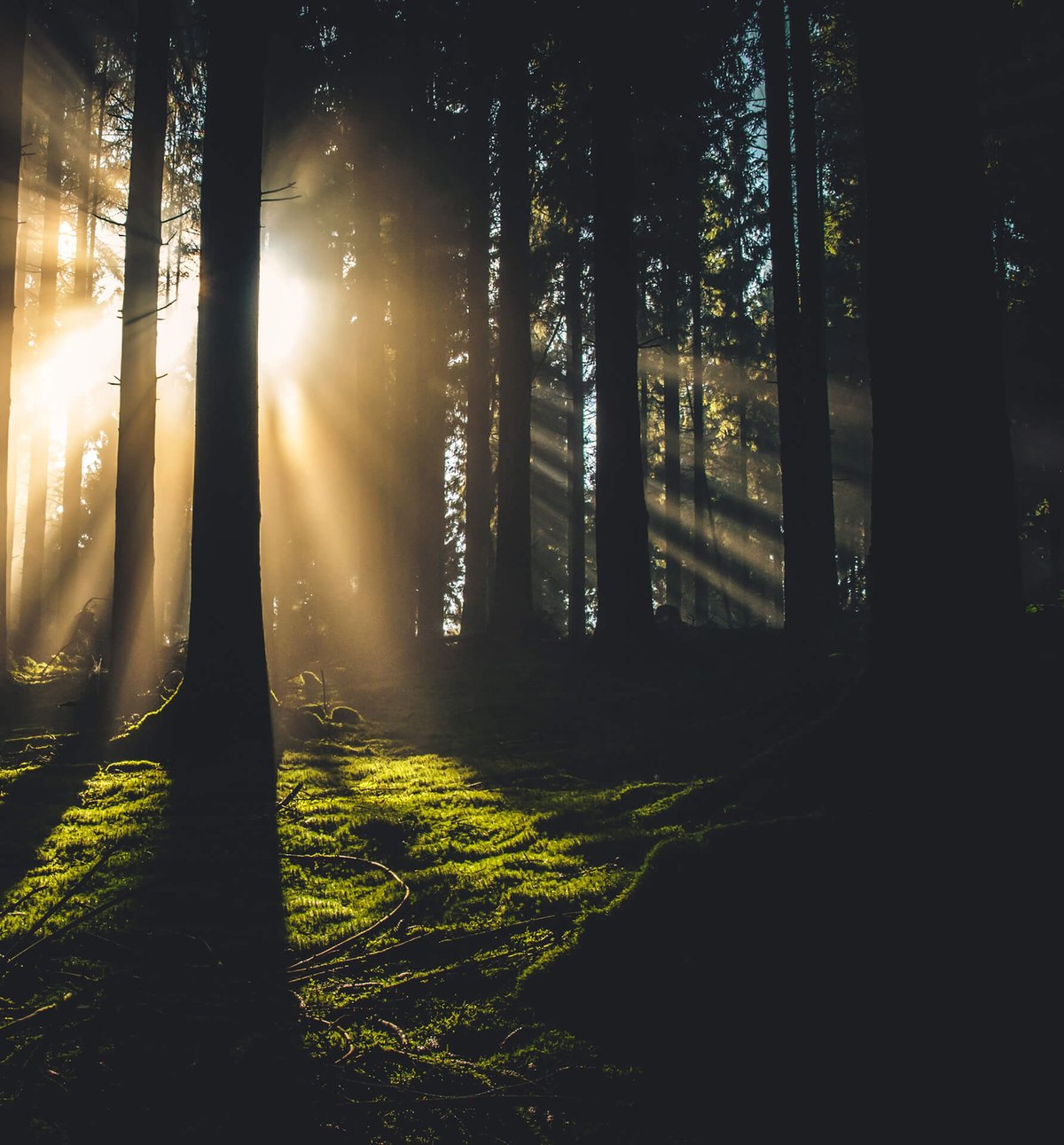 Maalämpökaivon poraus | Rototec